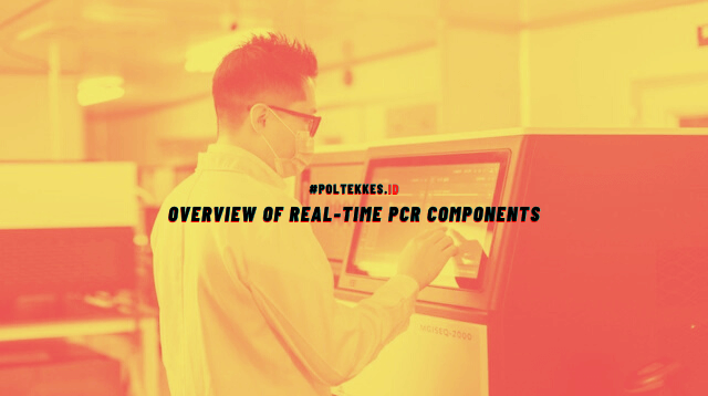 √ Overview of real-time PCR components, Visit Now!