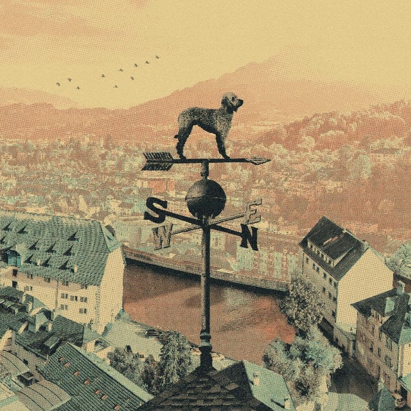 ALBUM REVIEW: Weathervane - Cold Collective - Distorted Sound Magazine