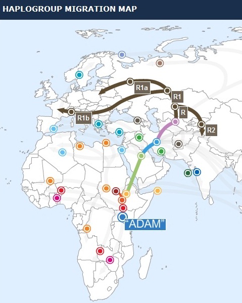 Where is my Haplogroup From? | DNAeXplained – Genetic Genealogy