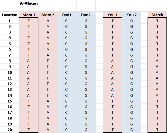 Concepts – Identical by…Descent, State, Population and Chance ...