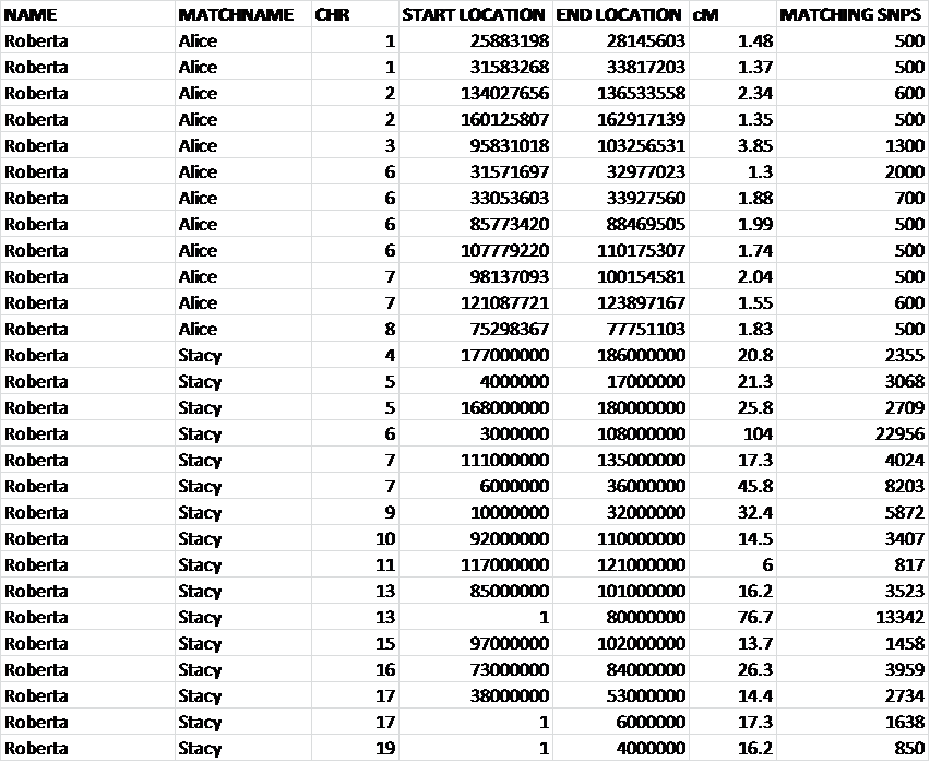 Spreadsheets | DNAeXplained – Genetic Genealogy
