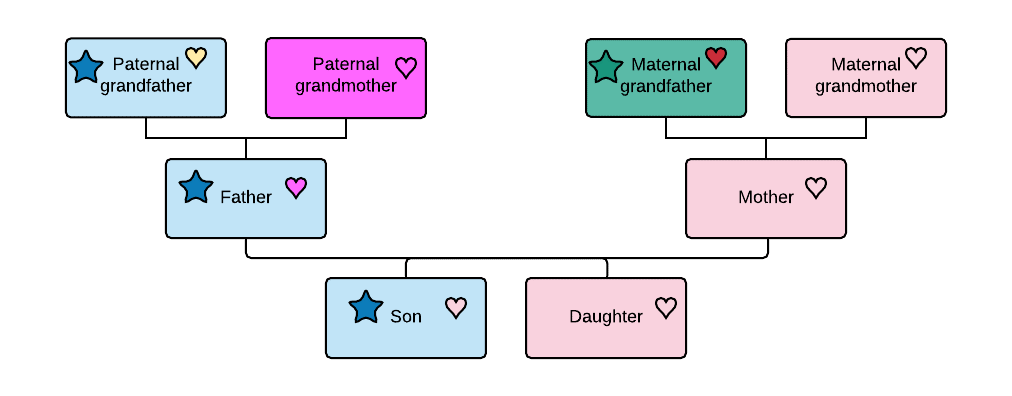 Grandparent Inheritance Chart | DNAeXplained – Genetic Genealogy