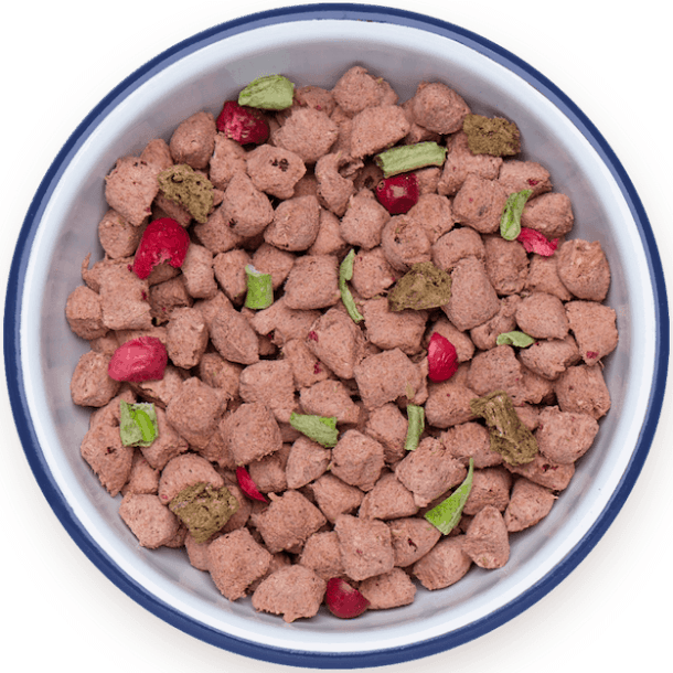 Best Dry Dog Food: Our Top 7 Kibble Brands in 2024