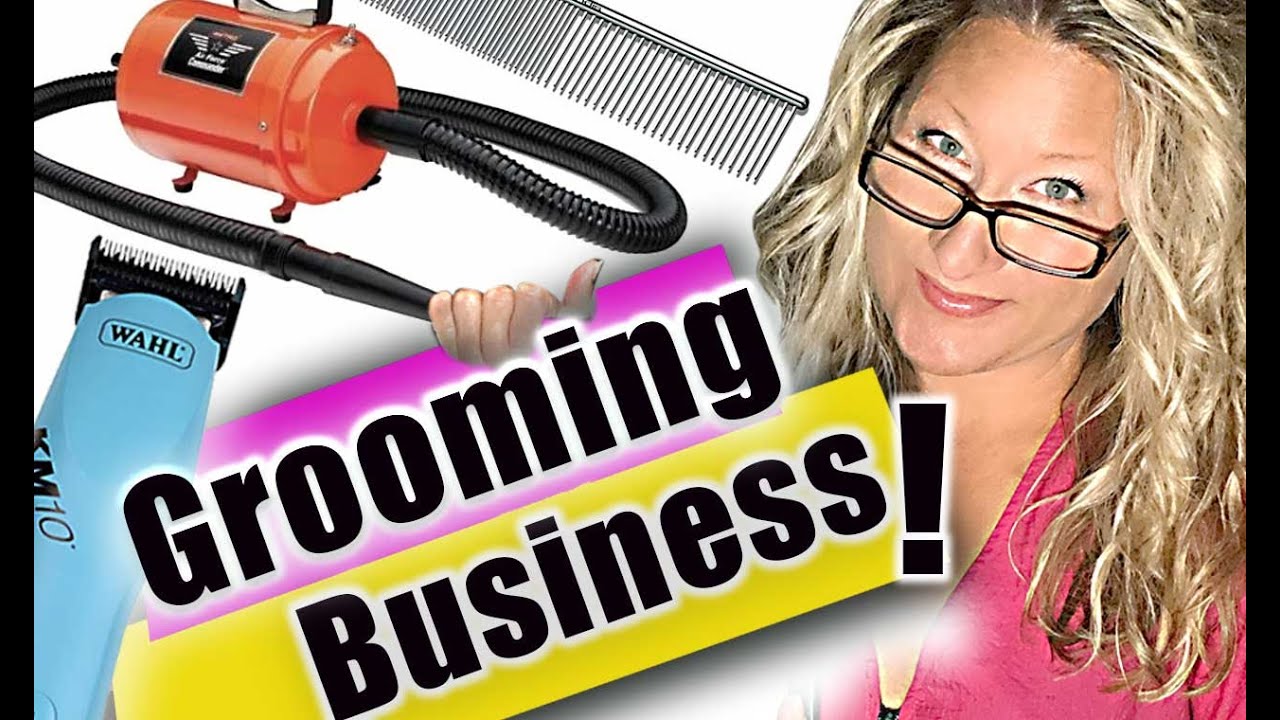 Dog Grooming Business – How to Start a Dog Grooming Business ...