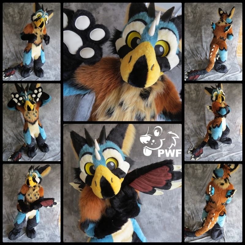 $11,575 fursuit sale brings comments from Furbuy and seller PhoenixWolf ...