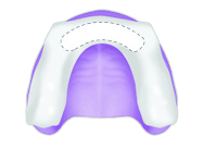 Panthera D-SAD – Dental Prosthetic Services