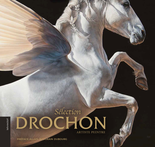 « Sélection », Drochon - Artiste peintre · Drochon Christophe