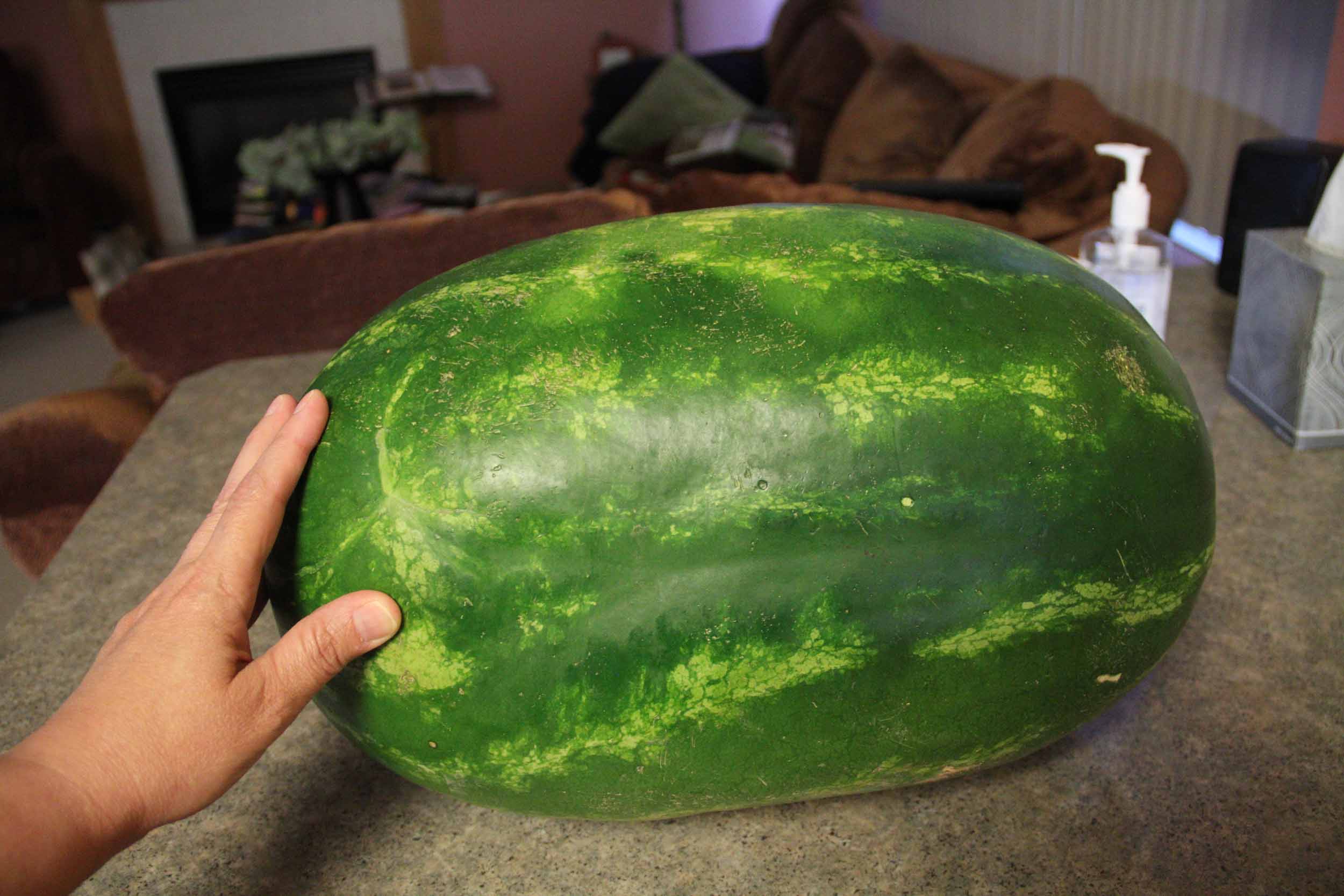 July | 2013 | Edgestitch