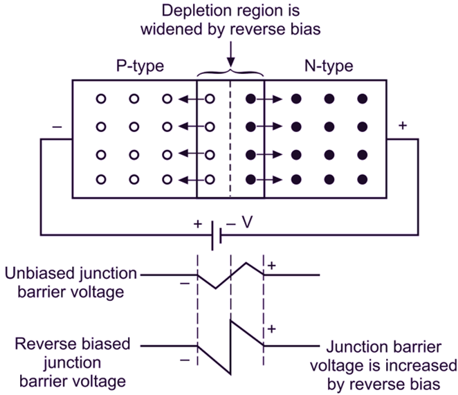 Circuit Diagram Of Pn Junction Diode In Reverse Bias