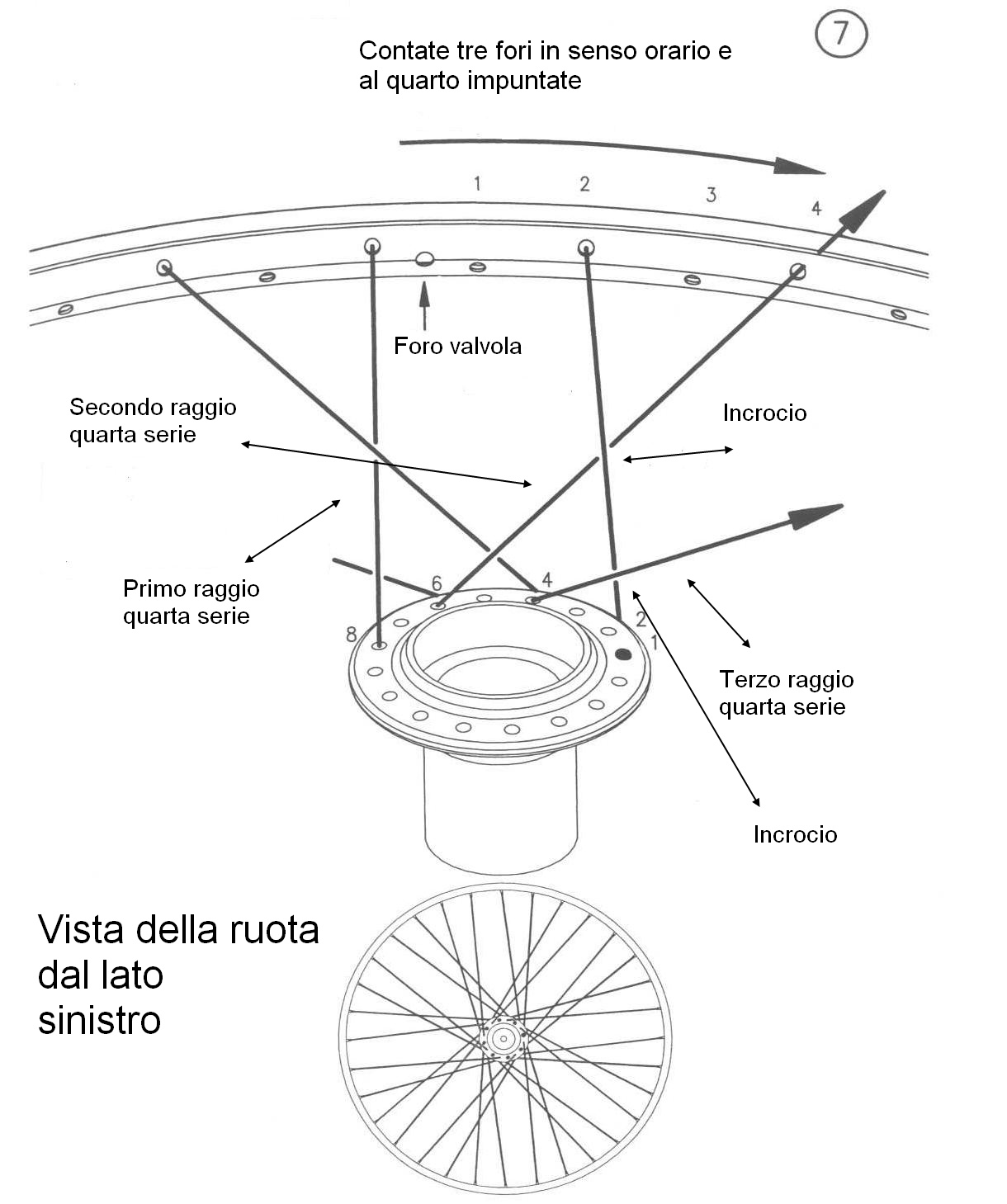 Raggiare una ruota, parte terza | Elessar