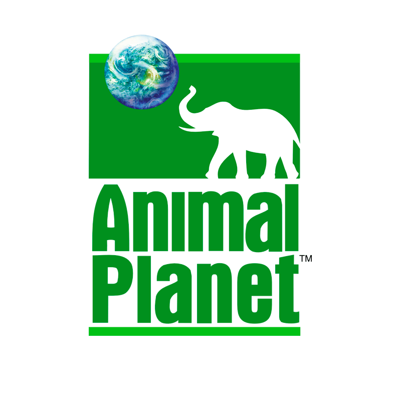 El canal animal planet retoma su elefante en su nuevo rediseño de logotipo