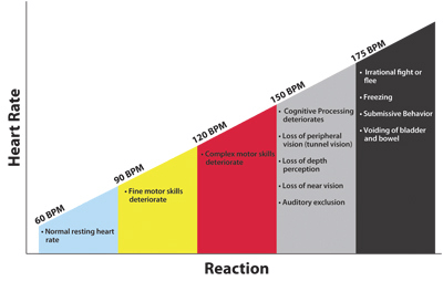 Stress Test Heart Rate Chart
