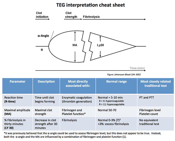 PulmCrit- Coagulopathy management in the bleeding cirrhotic: Seven ...