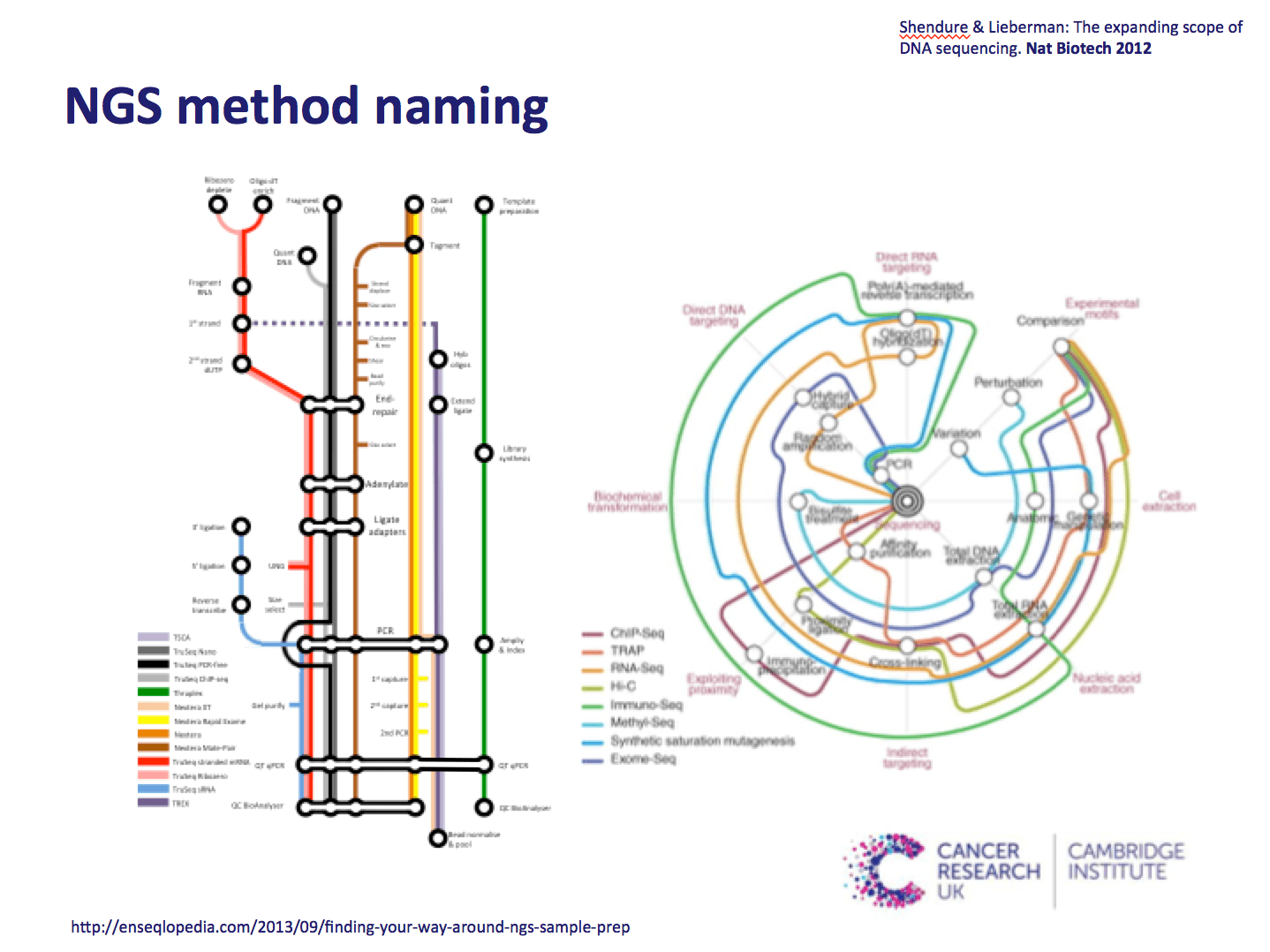 What does RNA-Seq mean to you - Enseqlopedia