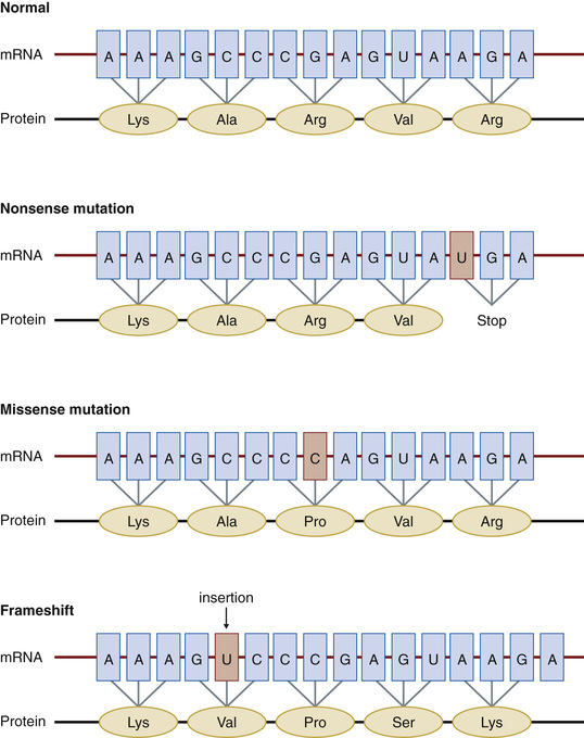Basic Genetics and Hereditary Syndromes | Ento Key