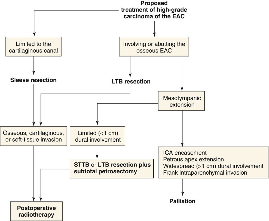 Otology and Neurotology | Ento Key
