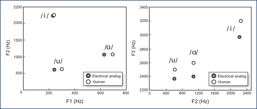 Acoustic Theory of Vowel Production | Ento Key