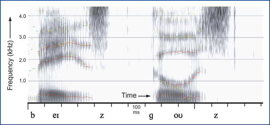 Acoustic Phonetics Data | Ento Key