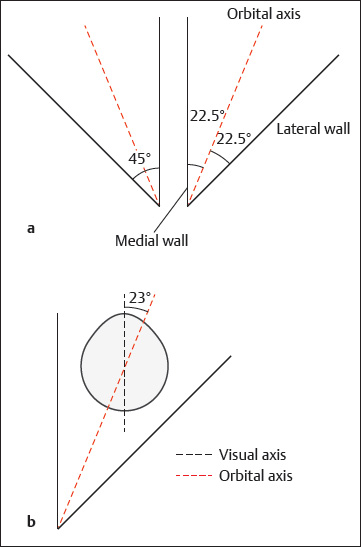 The Efferent (Motor) System | Ento Key