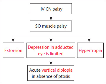 The Efferent (Motor) System | Ento Key