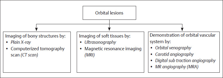 The Orbit | Ento Key