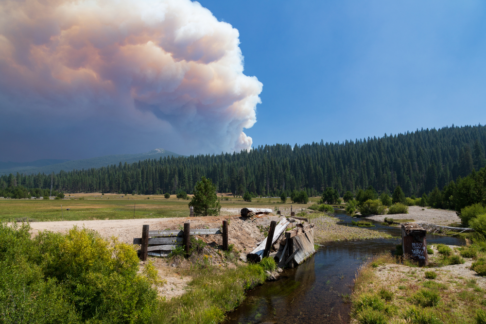 Dixie Fire Destroyed 1,200 Buildings, 550 Homes - Environmental Watch