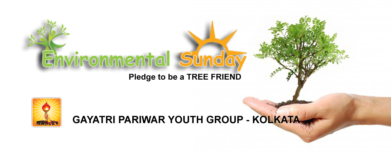 Environmental Sunday – Environmental Sunday