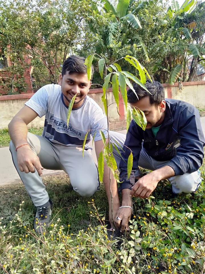 483 Environmental Sunday – Environmental Sunday