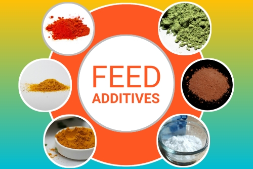 Feed Additives as Essential Inputs for Dairy Industry | epashupalan