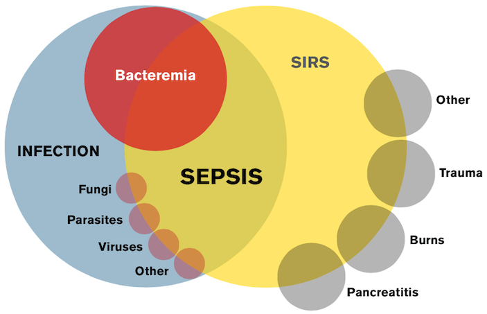 Infectious Disease: A Basic review and Coding Aspect – Passionate In ...