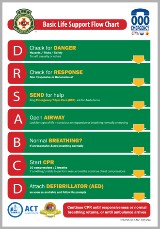 Arc Basic Life Support Flow Chart