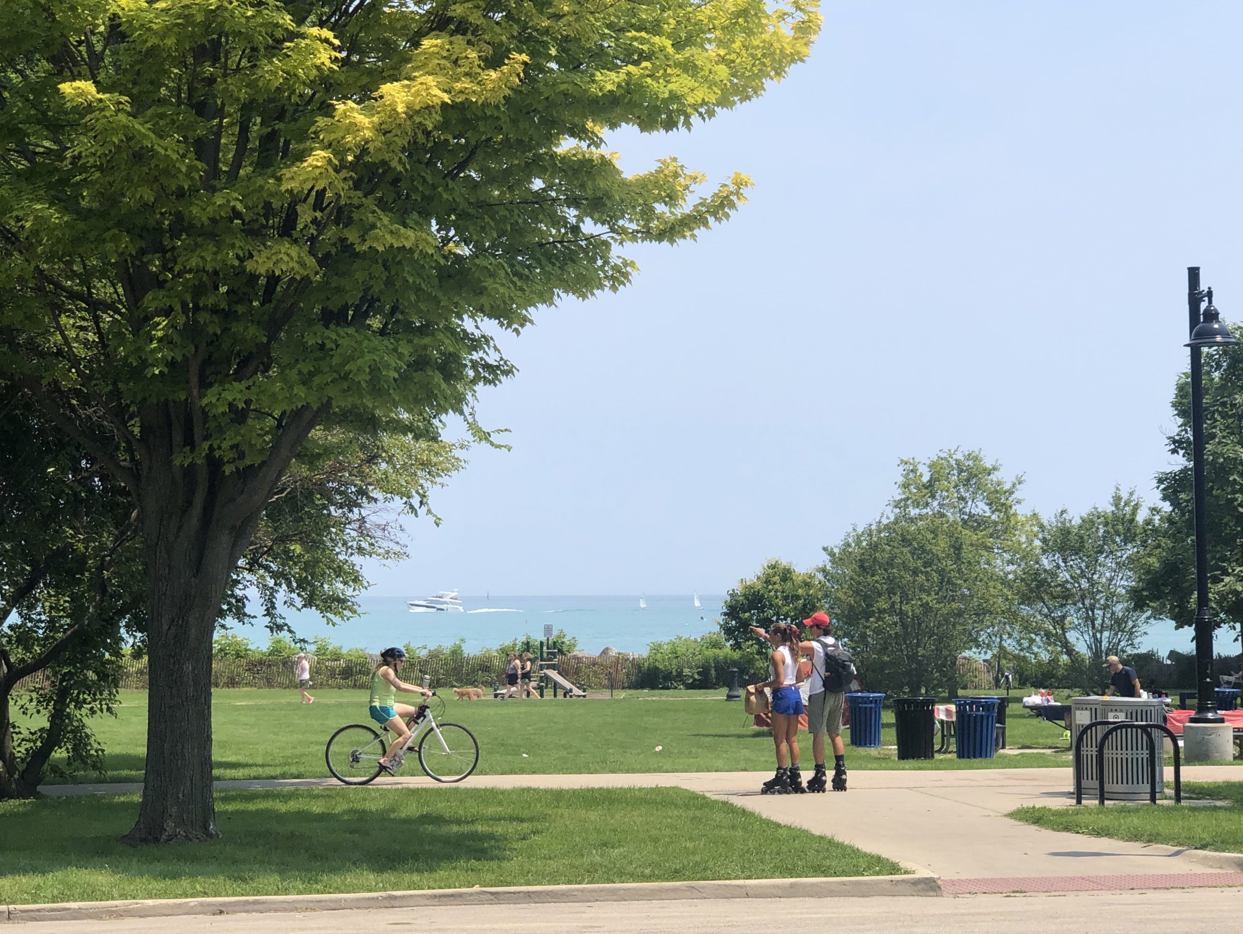 Council Member’s Revised Proposal Favors More Pushcarts on Lakefront ...