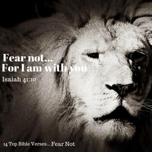 14 Top Bible Verses Fear Not Everyday Servant 14-top-bible-verses-fear-not-everyday-servant