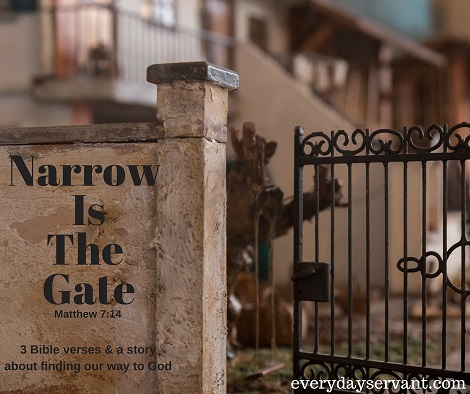 Narrow is the Gate - Everyday Servant