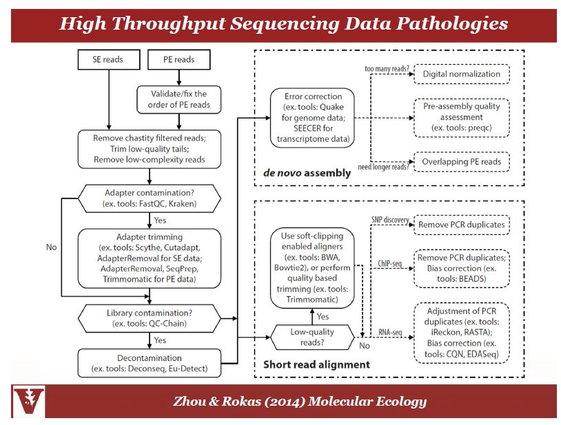 PopGen and Phylogenomics from Antonis Rokas...who is also just a fun-guy! - Evolution and Genomics