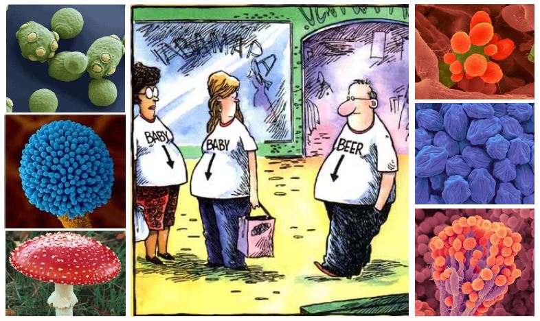 PopGen and Phylogenomics from Antonis Rokas...who is also just a fun ...