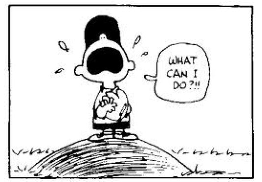 PopGen and Phylogenomics from Antonis Rokas...who is also just a fun ...