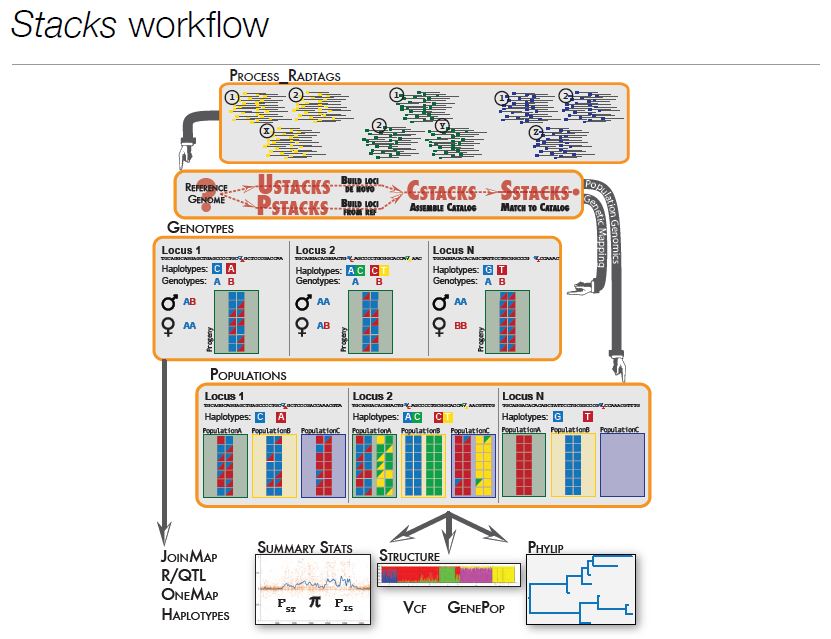Sequencing is RAD... - Evolution and Genomics