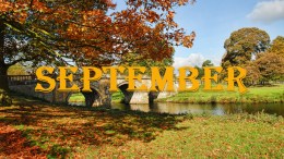 How Many Workdays Until July 28 2022 Get Halloween 2022 News Update