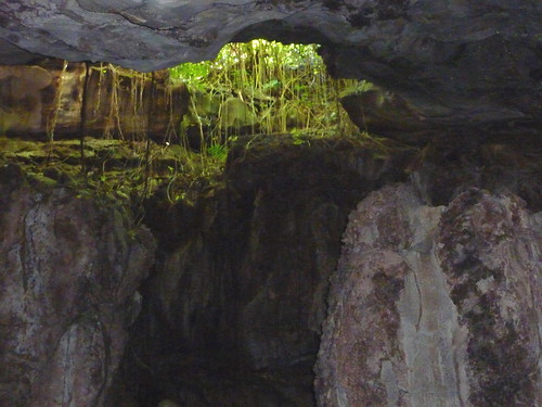 Southern Mexico, Part 3 – Rare Cave | Shane's In Mexico ... No Longer