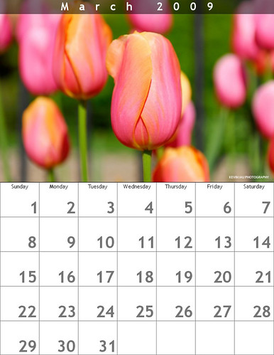 Calendar 2009 – A Small Collection! | Welcome to ~S'moy's~ World