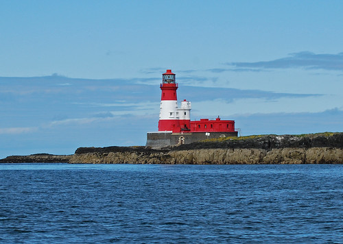 SS Forfarshire | The Naturephile