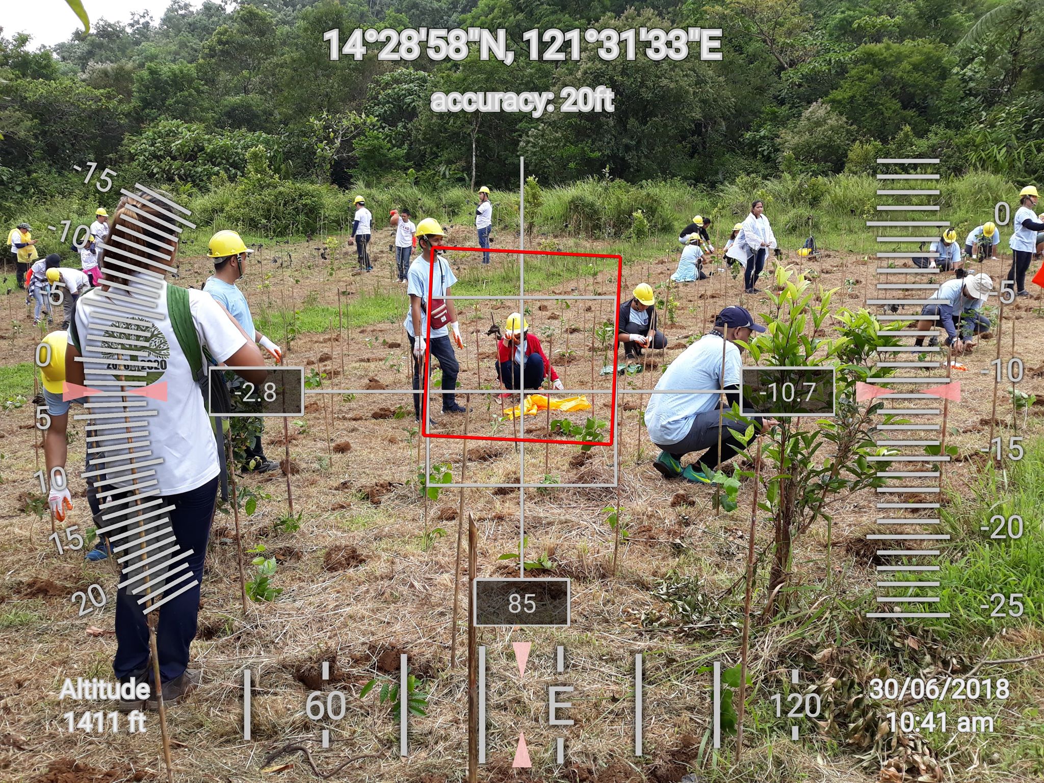 Teradata Cares: Planting 240 Native Trees to Restore Philippine Forests ...