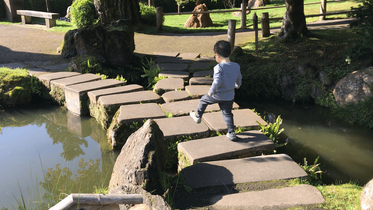 October 2020 Financial Samurai Recap: Back To Normal Life Again
