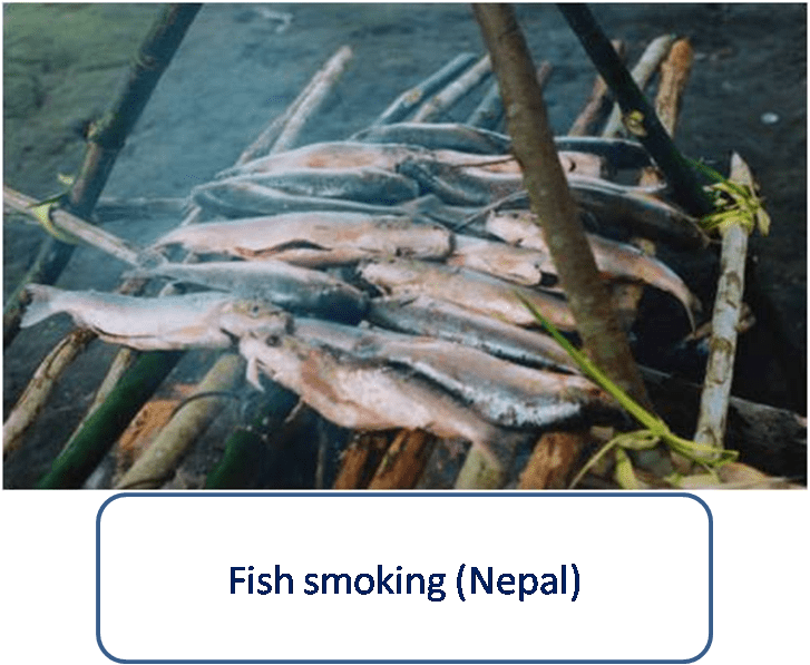 Fish Preservation through smoking and sun-drying in Nepal | Fish ...