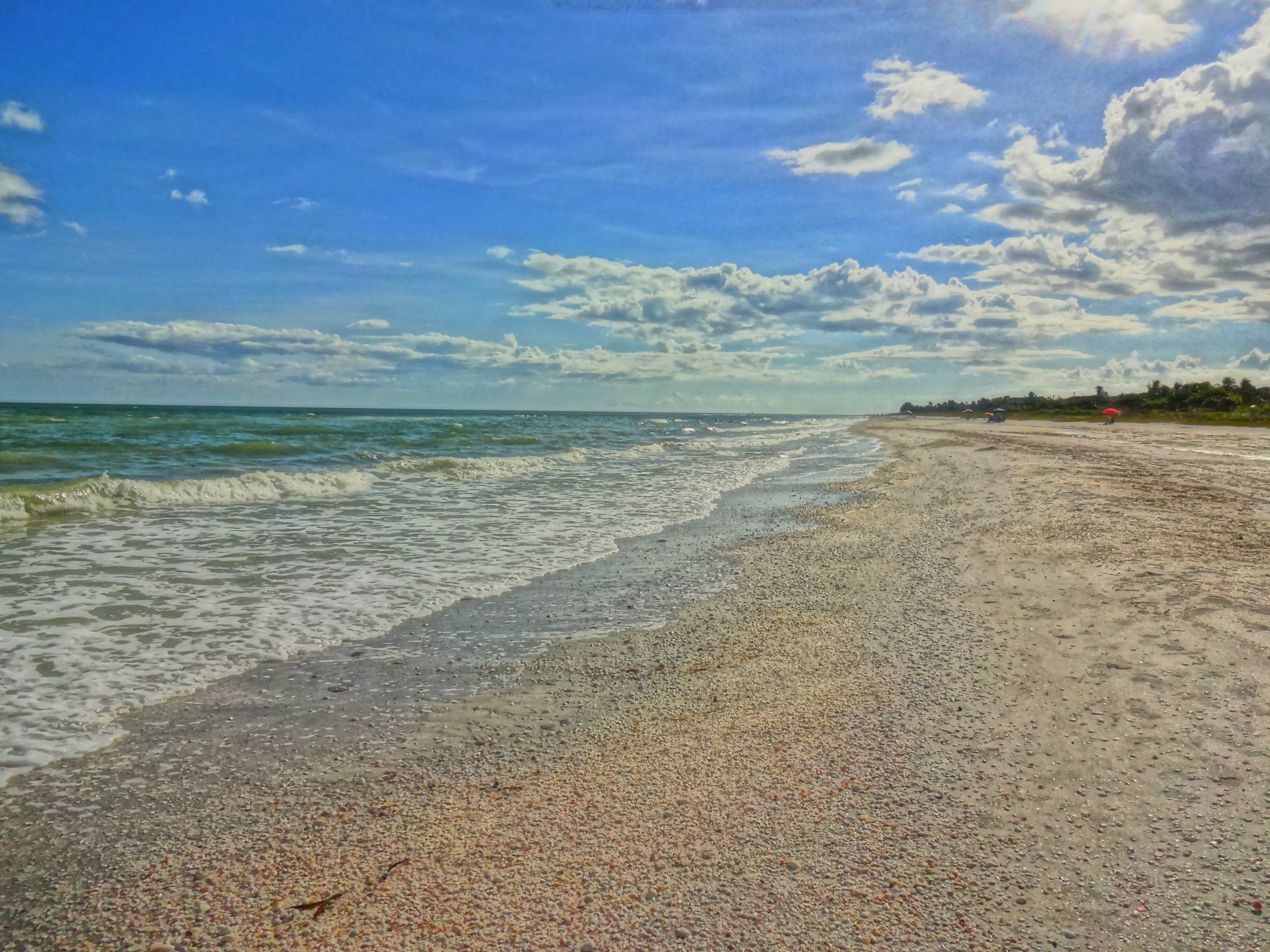 Bailey Matthews Shell Museum Sanibel Island - In Photos | FunAndFork