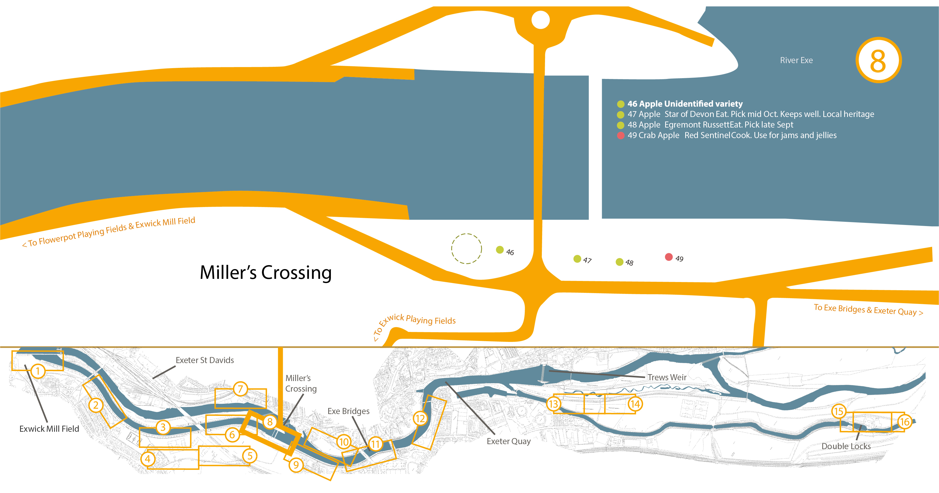 Orchard Map - FLOW: A RIVER ORCHARD ON THE EXE