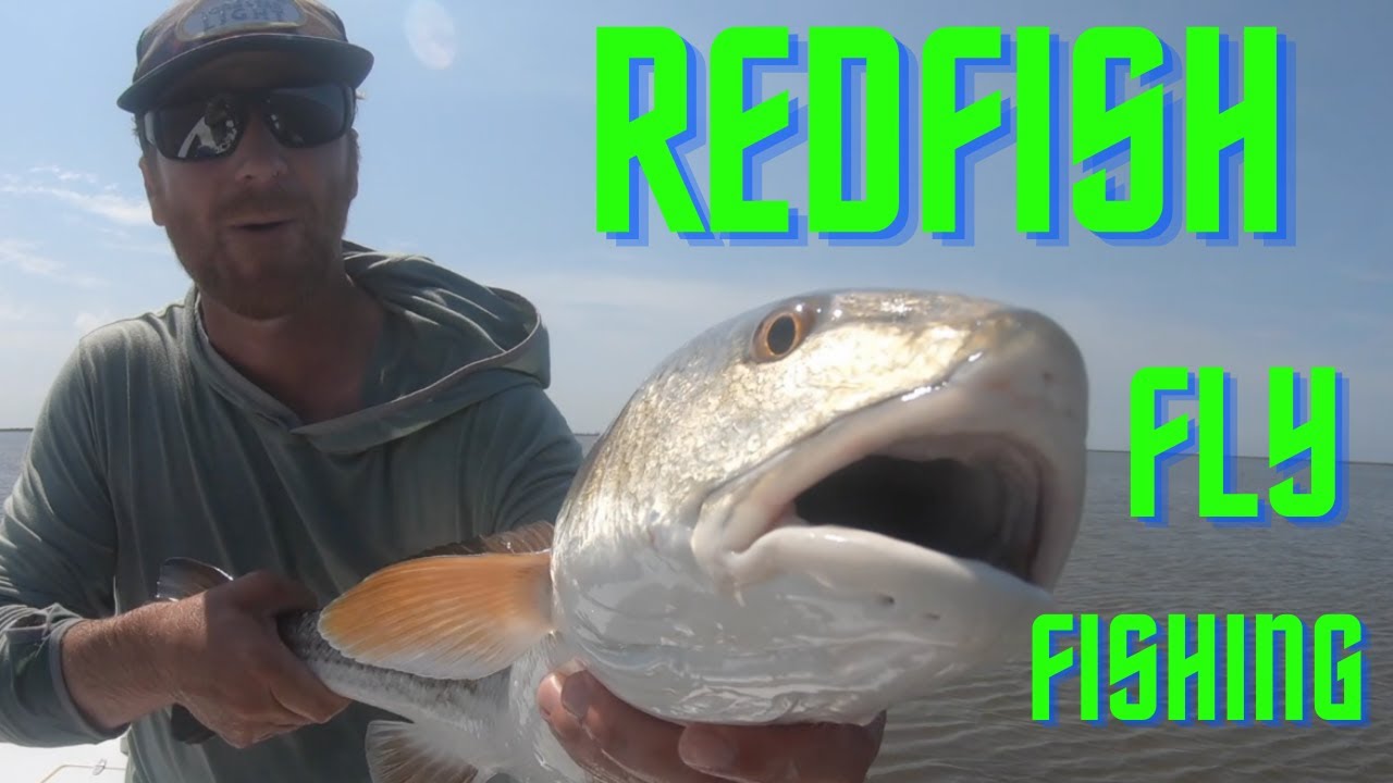 Video of the Week: Huge Fly Fisherman and Redfish in the Marsh ...