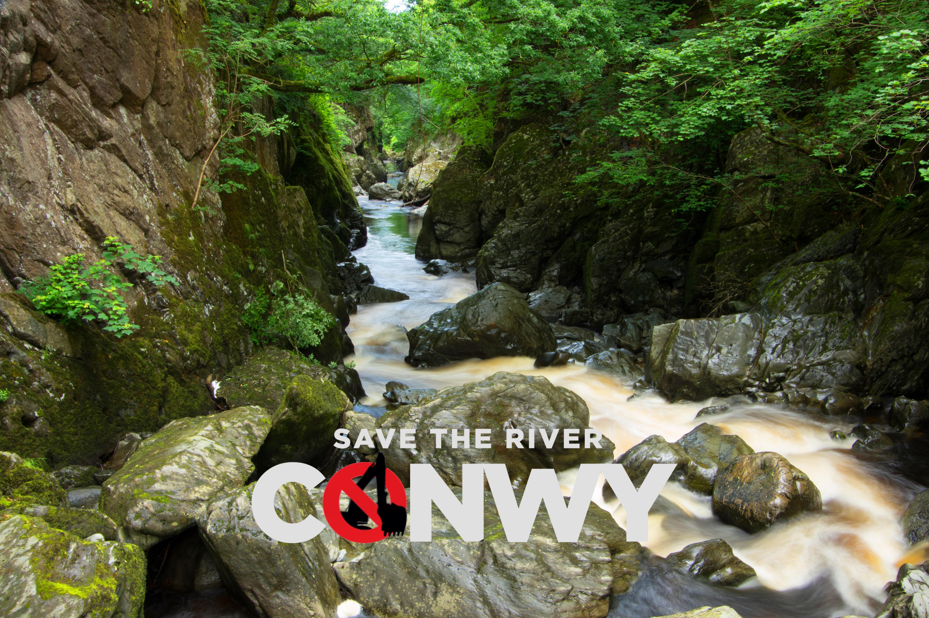 Projects – Free Rivers Fund