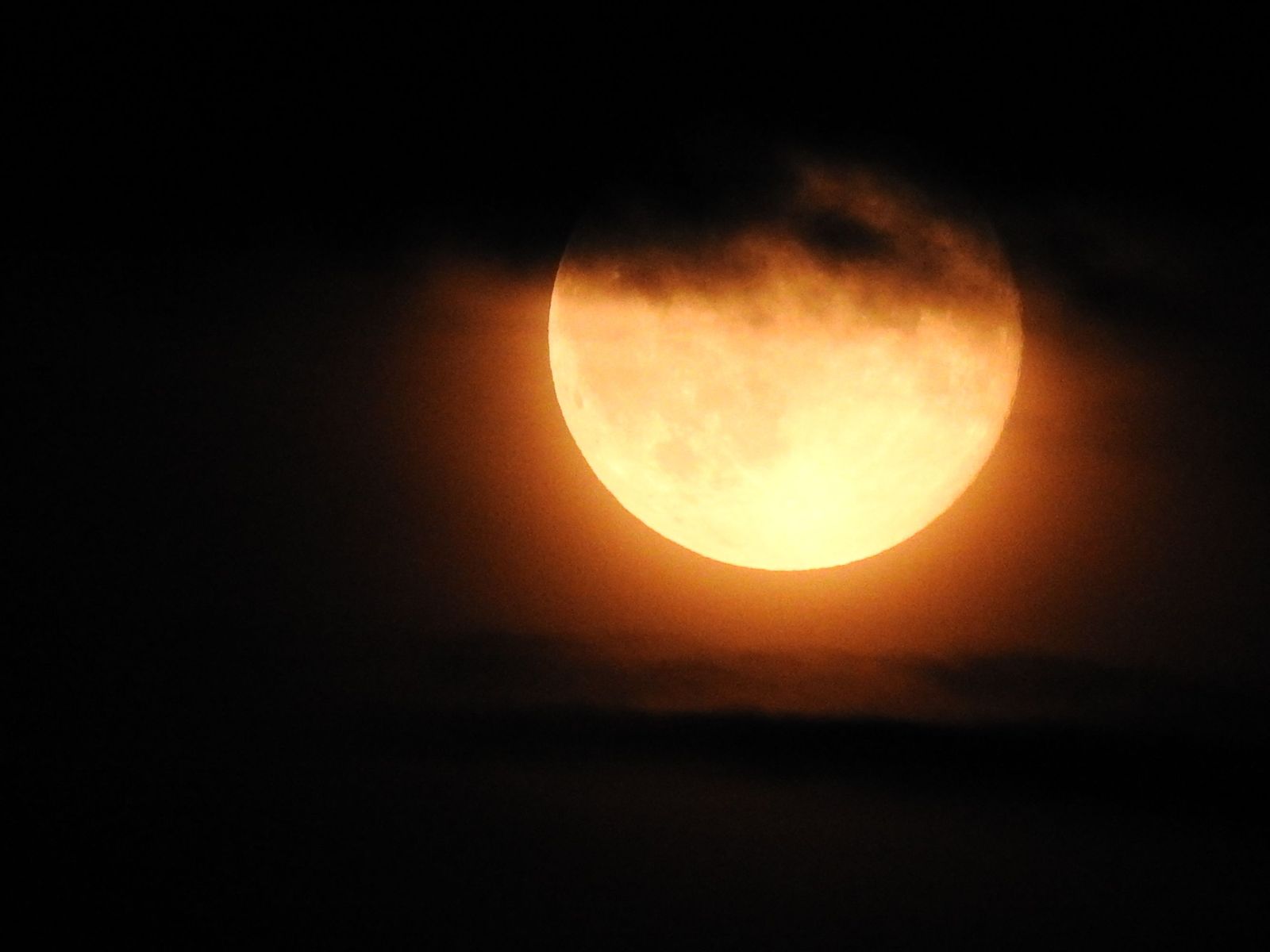 Gloomy Moon gloomy-moon